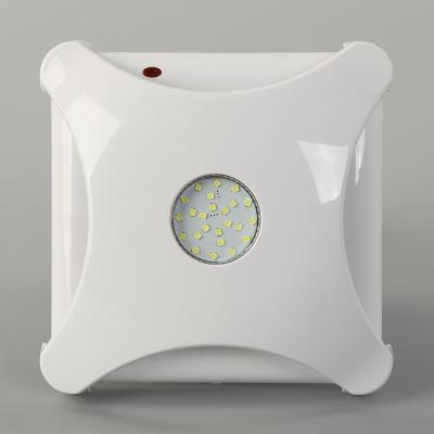 China Plastic Blade 6 Inch 220V Silent Bathroom High Speed Ventilation Fan with LED Light Air Extractor Fan for sale