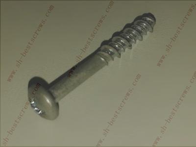 China Self-tapping screw fasteners for sale