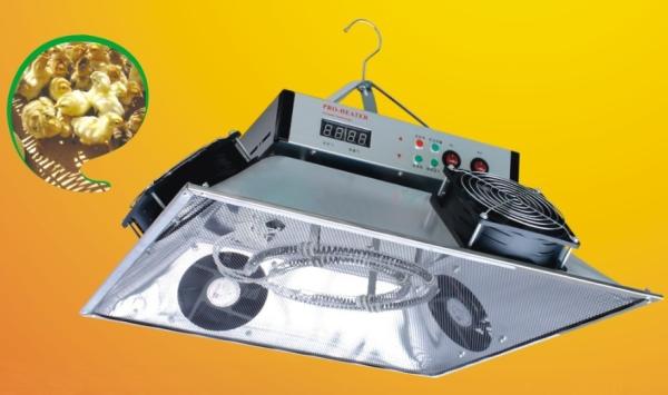 Incubatrice elettrica Heater Chicken Brooder Gas Heater del pollame per l'azienda avicola