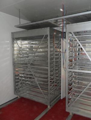 China 10000 Capacity Fully Automatic Egg Incubator Tunnel Multi Stage Incubator 9.7KW for sale