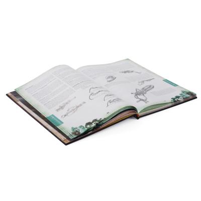 China Volledige het Boekdruk van Kleurenhardcover, de Grootte van de het Boekdruk A4 van de Douanepocket Te koop