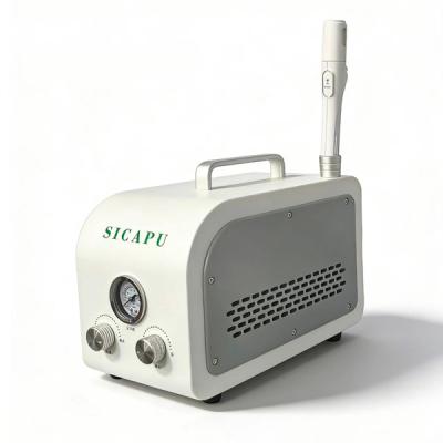 China Portable Scalp Hydrating Instrument for Dry Scalp Treatment for sale