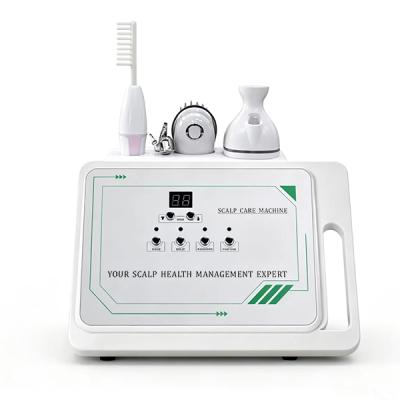 China 4 In 1 Multifunction Hair Treatment Machine, Portable Scalp Care Anti Hair Loss Equipment for Global Wholesalers for sale