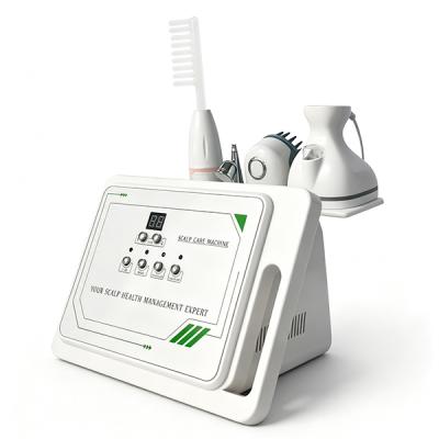 China Portable 4 In 1 Hair Care Machine, Scalp Treatment Device with Massage & Serum Infusion, Anti Hair Loss Equipment for Wholesale Trade for sale