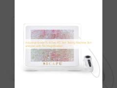 Industrial-Grade 15 Inches HD Skin Testing Machine Skin anzlyzer with 70x Magnification