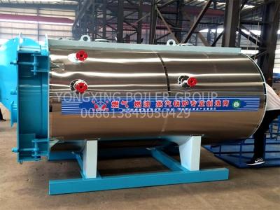 China Industrial Natural Gas Hot Water Boiler Horizontal Fire Tube Boiler For Green House for sale