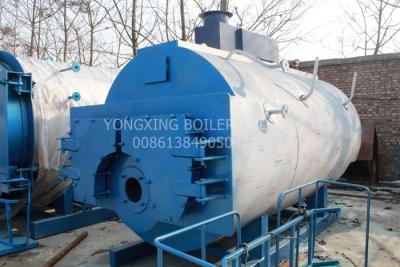Cina Caldaia a vapore a gas naturale completamente automatica per la fabbrica grezza della palma in vendita