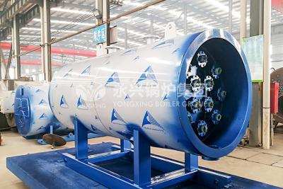 Cina Pressione bassa dell'olio della serra del radiatore fluido termico termico elettrico della caldaia in vendita