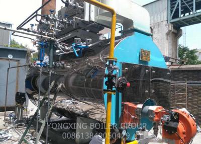 Cina Caldaia a vapore a gas di protezione dell'ambiente per il riscaldamento centrale 10 tonnellate in vendita