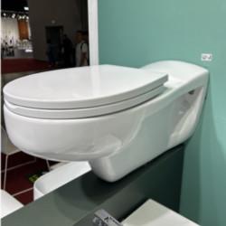 China Wall Hung Disabled Ceramic Toilet Set For Public And Private Restrooms for sale