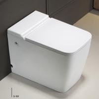 Modern High Efficiency Toilet Tankless Wall Hung for Bathroom