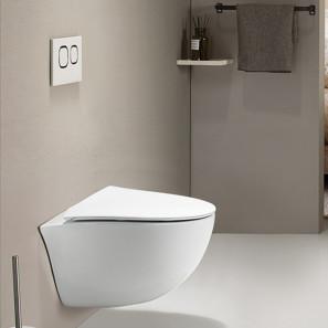 China Special Shapes Wall Hung Toilet With Hidden Water Tank And Single Hole for sale