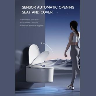 China Sanitary Ware Modern Smart Wall Hung Toilet With Bidet Washing Function For Hotel for sale