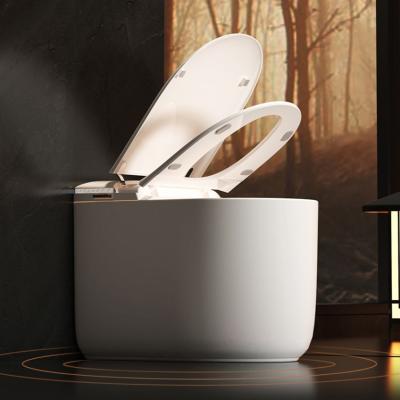 China WC intelligente con bidet integrato in ceramica con certificazione CUPC, scarico automatico, monoblocco, per bagno for sale