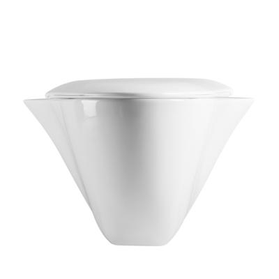 중국 숨겨진 물탱크 벽걸이 변기 세면대 플러시 위생 도자기 벽걸이 변기 변기 판매용