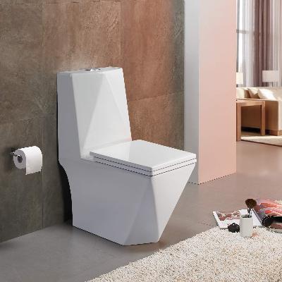 China Square One Piece Washdown Rimless Flush Sanitary Ware Toilet for sale