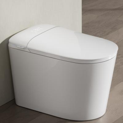 China Smart Toilet with Pump-assisted Flush Suitable Low Water Pressure High Building for sale