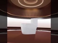 Toilet à chasse d'eau double One Piece avec chasse d'eau siphonique, cuvette monobloc à bord fin pour installation sur le dessus ou en dessous
