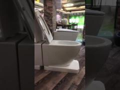 Contemporary Wall Hung Toilet with UF Toilet Seat for Bathroom Standard Ceramic Sanitary Ware Bowl Set American Standard Wall Hung Toilet