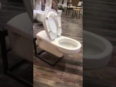 Un ensemble de toilettes en céramique pour personnes handicapées pour personnes handicapées