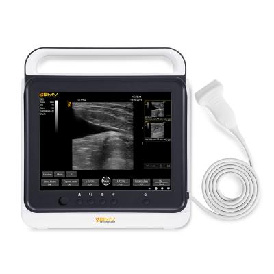 China PT50 Vet 15 inches screen touch type veterinary ultrasound system scanner for sale