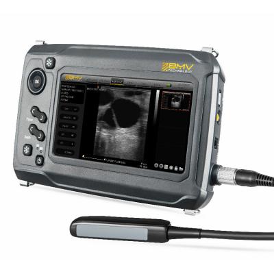 China Pregnancy diagnosis scanner S6 touchscreen palm-sized veterinary ultrasound system for sale
