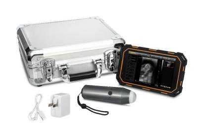 China Wireless Swine Ultrasound Transducer Ultrasound probe Compatible with Android and iOS devices for sale