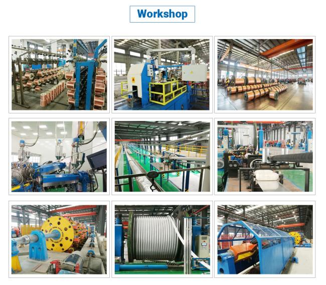 0.6/1 (1.2) Kv Low Voltage Al (Cu) /XLPE/PVC 4*95mm2 4*120mm2 4*150mm2 Copper/Aluminum XLPE Insulated Unarmored Cable