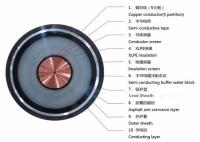 China Single Core XLPE High Voltage Cable with Lead Sheath Power Cable for sale