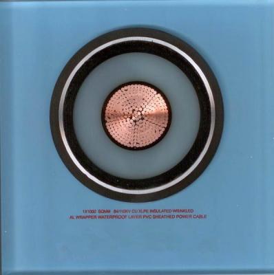 China Power Cable Copper Core XLPE Insulated Lead Sheath and PVC Outer Sheath High Voltage Ca for sale