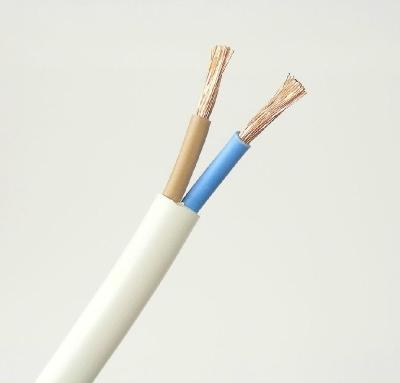 Chine Cable flexible multicore de 300 V à 300 V H03VV-F à vendre