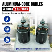 Quality 8.7KV 10kV Mv Power Cable Armored Skyscraper Main Aluminum Cable for sale