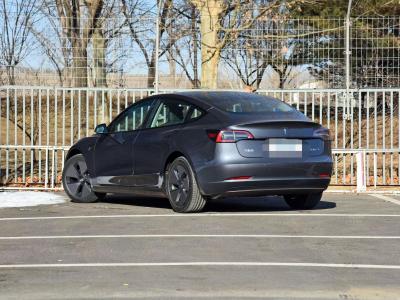 Chine Tesla Model 3 2022 vitesses moyennes 675km de DIFFICULTÉ de la voiture 194kw de la version EV des performances 4WD à vendre