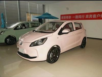 中国 Changan BenbenのE星の2022年のQinxin版EV NEDC 301km範囲 販売のため