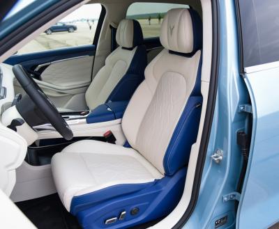 China VOYAH FREE 2021 4WD Extended Range Edition Exclusive Luxury Set Medium Large SUV for sale