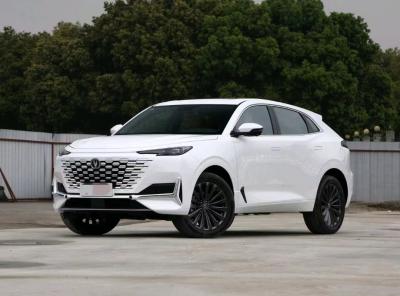 中国 UNIK New Energy 2022 シロナガスクジラ IDD 1.5T Zhuoyue バージョン ハイブリッド ミディアム SUV 販売のため