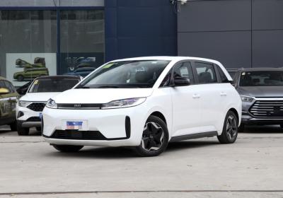 BYD D1 2022 일반용 MPV 순수한 전기 자동차 5 문 5 시트
