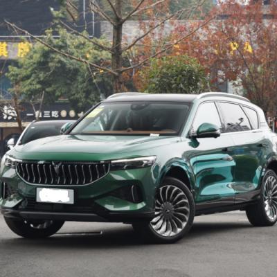 Chine VOYAH Free 2021 Two Drive Pure Electric Version SUV Large Middle à vendre