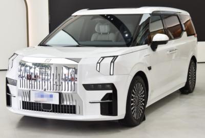 中国 ZEEKR 009私達版2022純粋な電気媒体および大きいMPV 5のドア6の座席 販売のため