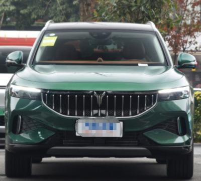 Chine VOYAH FREE 2023 4WD super long battery life extended version 5 Door 5 seats SUV à vendre