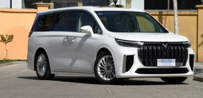 China VOYAH Dreamer 2022 Low Carbon Version Think+Intelligent Driving Bag 5 Door 7 Seats MPV for sale