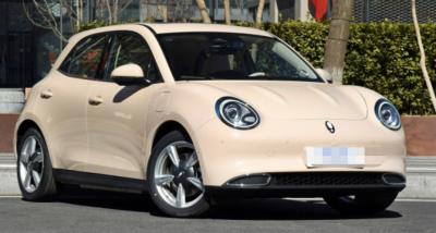 China ORA Haomao 2023 501km standard range Haohua ternary lithium  Small car Five-door five-seater hatchback for sale