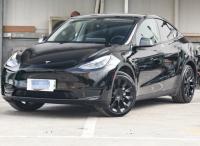 China Tesla Model Y 2022 Rear-Wheel Drive Electric SUV 545km CLTC Range 194kW for sale