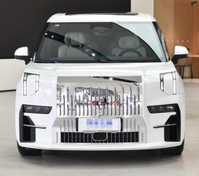 Chine ZEEKR 009 WE Version 2022 Pure Electric Medium And Large MPV 5 Door 6 Seats à vendre