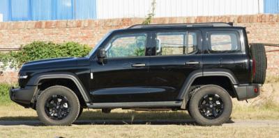 Cina 2023 modello fuori strada Challenger Version di Tank300 2.0T 5 sedili SUV della porta 5 in vendita