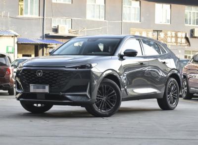 中国 経済的なAntomatic&手動ガソリンUNIK 2.0Tデラックスな2021年の版5ドア5の座席SUV 販売のため