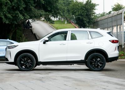 Cina Terza generazione 2021 di Haval H6 2.0T 2WD automatico Max Compact SUV 5 sedili della porta 5 in vendita