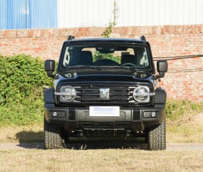 중국 도로 모델 도전자 버전 5 문 5 의석 휘발유 SUV에서 떨어져 있는 탱크 300 2.0T는 사용했습니다 판매용