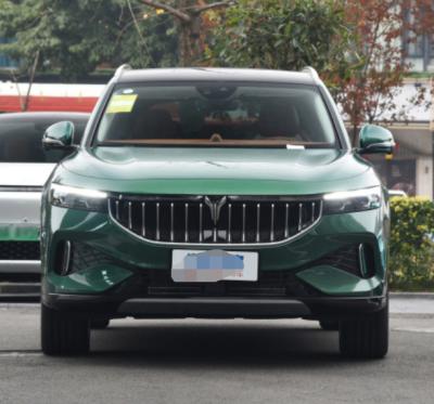 Cina VOYAH LIBERANO un'auto usata estesa di 2023 di durata di vita della batteria lunga eccellente 4WD di versione 5 sedili della porta 5 in vendita