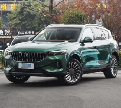 VOYAH 무료 2023년 4WD 최고 긴 배터리 사용 시간 확장버젼 5 문 5 좌석 중고차